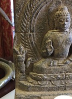 HOME [piousbird.com]